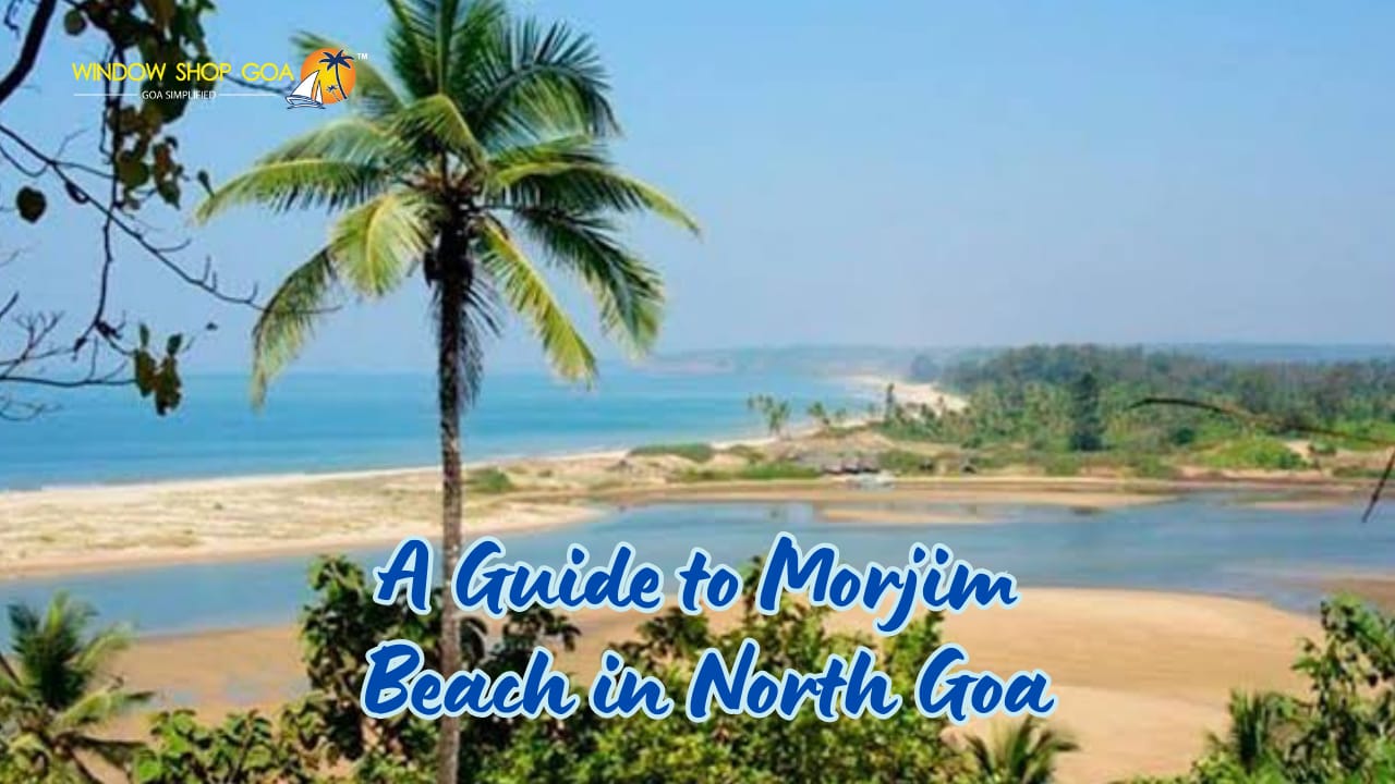 Morjim Beach, North Goa: A Complete Guide to Nature, Culture & Serenity